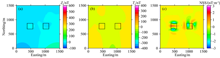 Nonlinear Equivalent Source Method For Transformation And Inversion Of Total Field Magnetic Anomaly