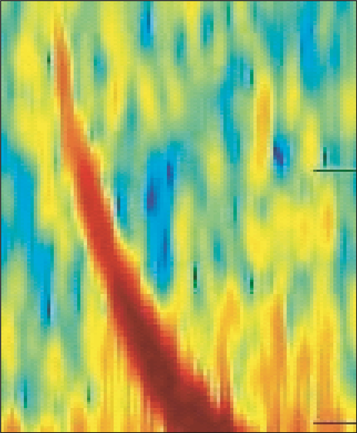 Diffusion state recognition algorithm for lightning whistler waves of China Seismo ...